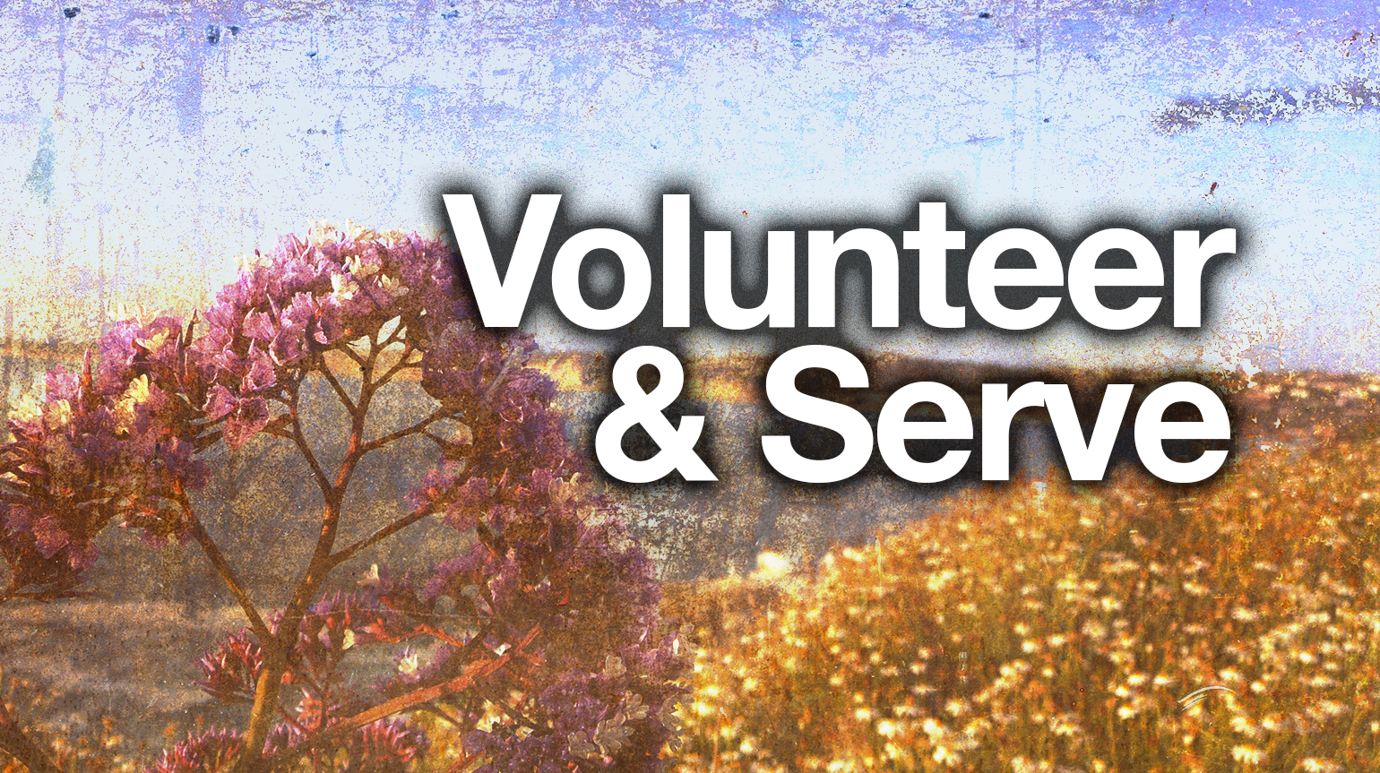 Serve | Mesa Church